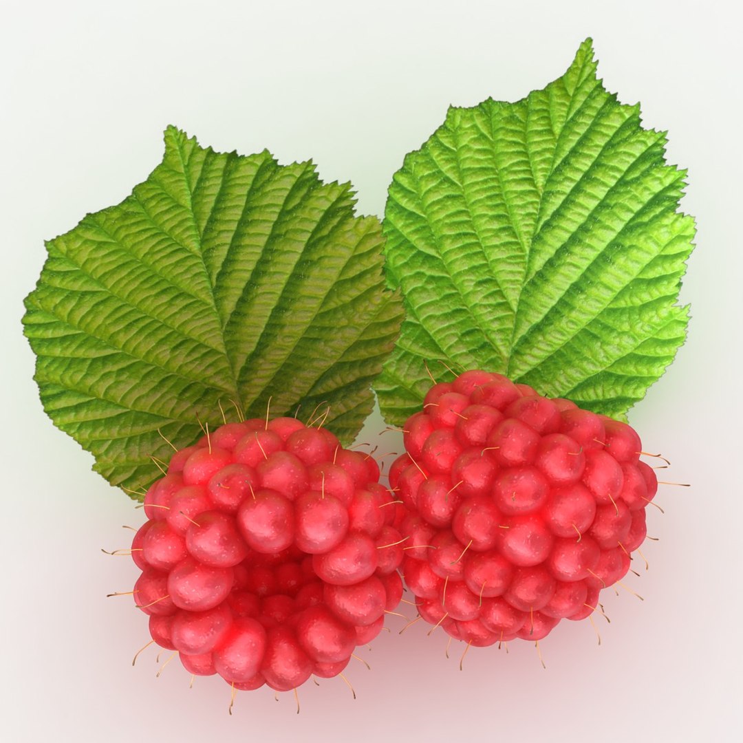 realistic raspberry 3d max