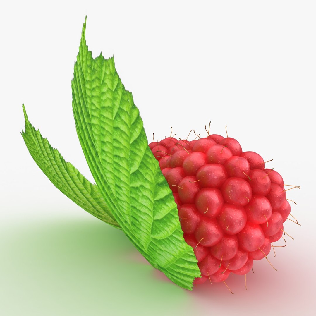 realistic raspberry 3d max