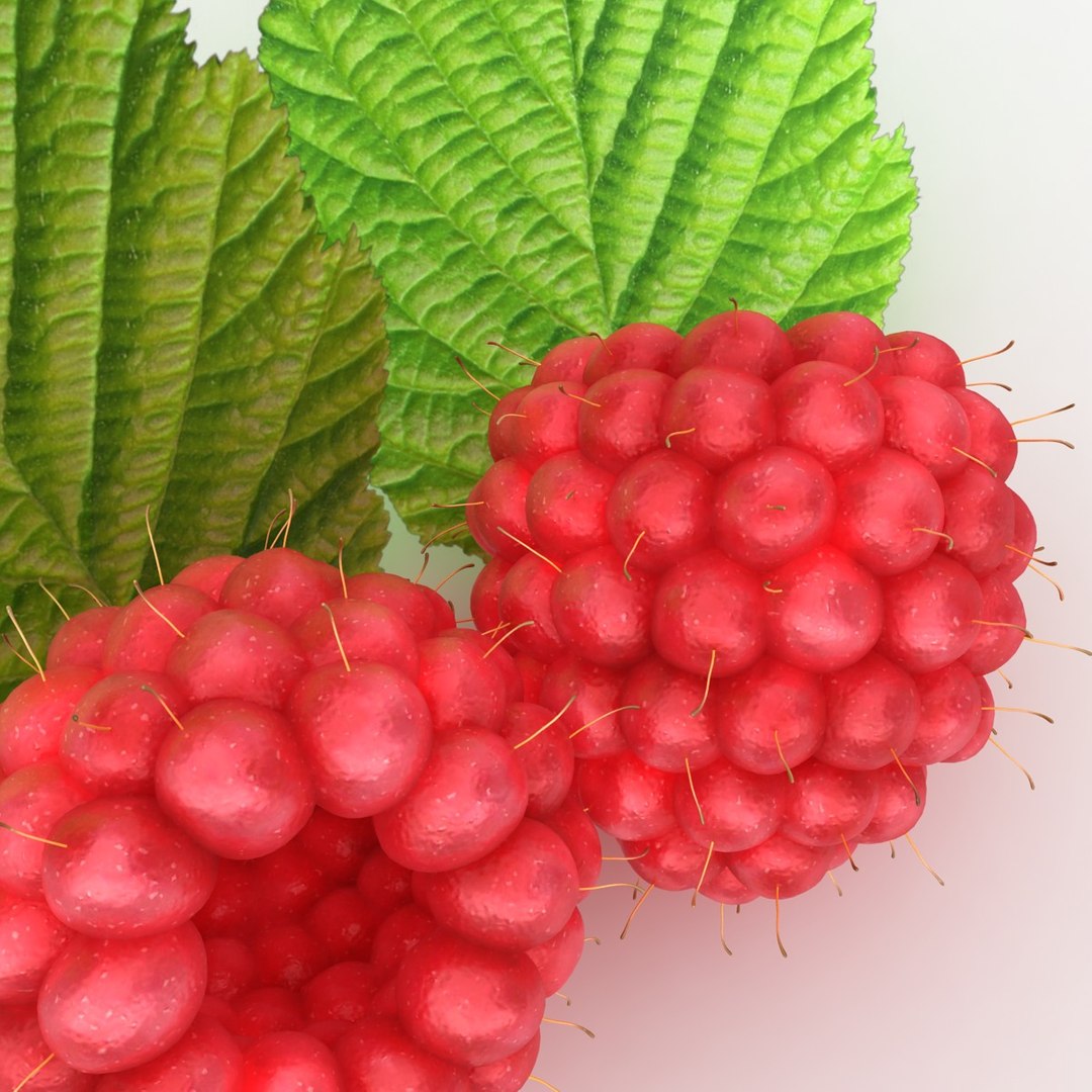 realistic raspberry 3d max