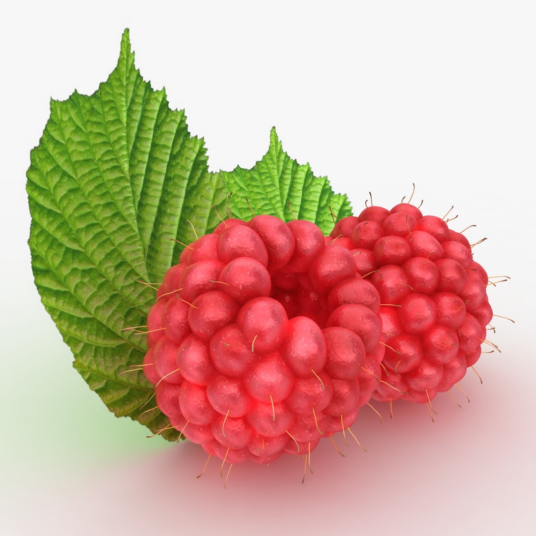 realistic raspberry 3d max