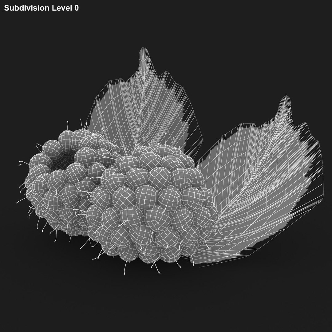 realistic raspberry 3d max