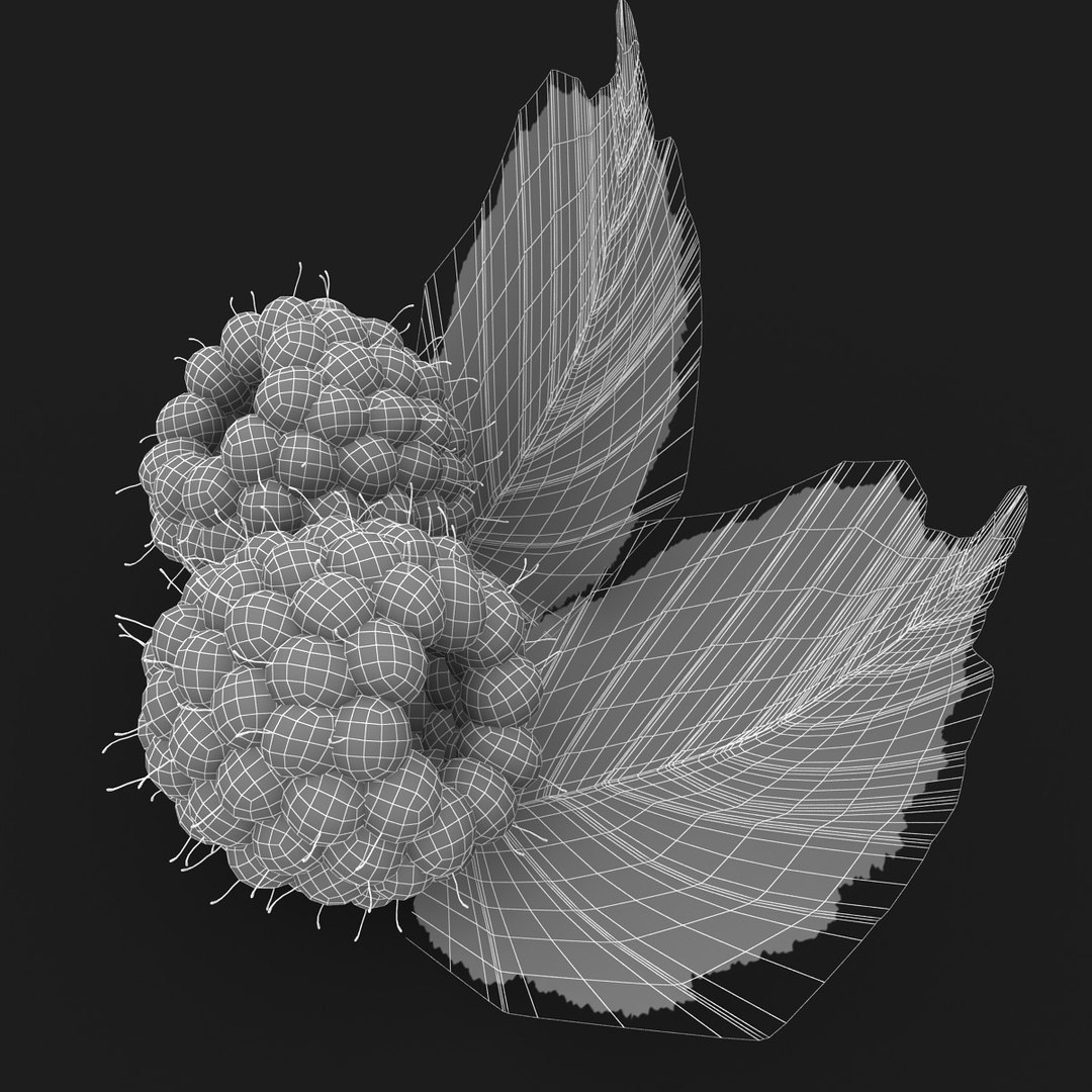 realistic raspberry 3d max