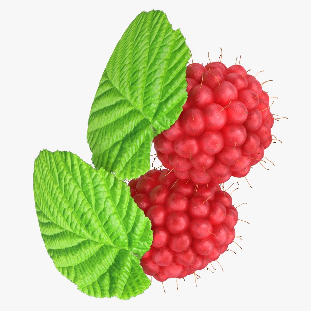realistic raspberry 3d max