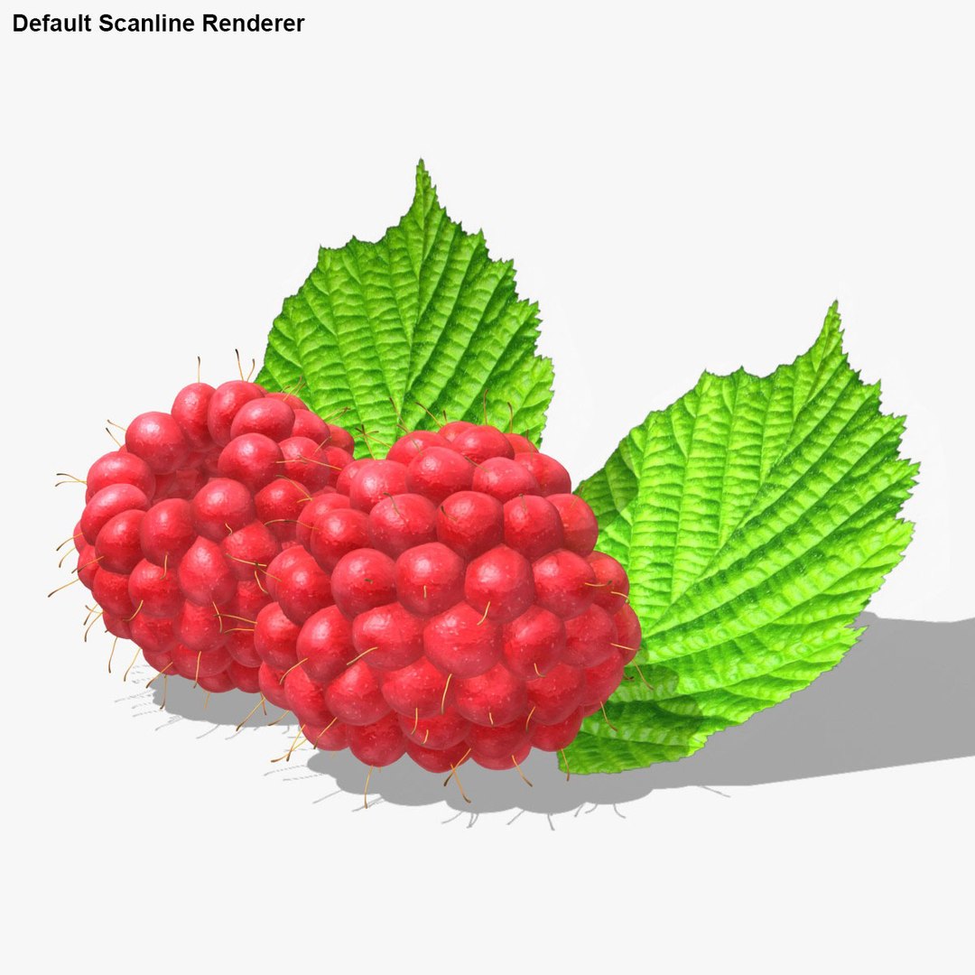realistic raspberry 3d max