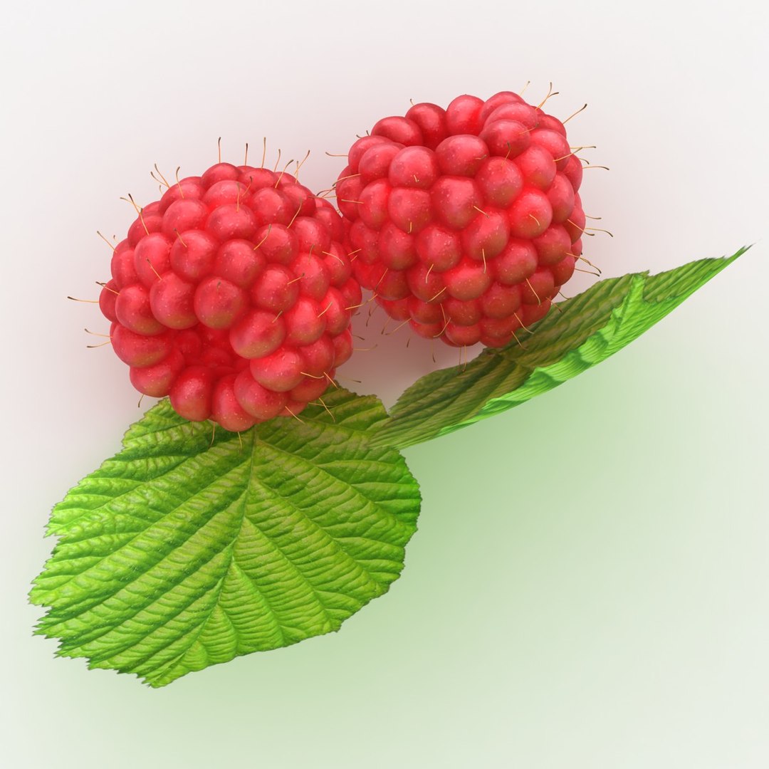 realistic raspberry 3d max