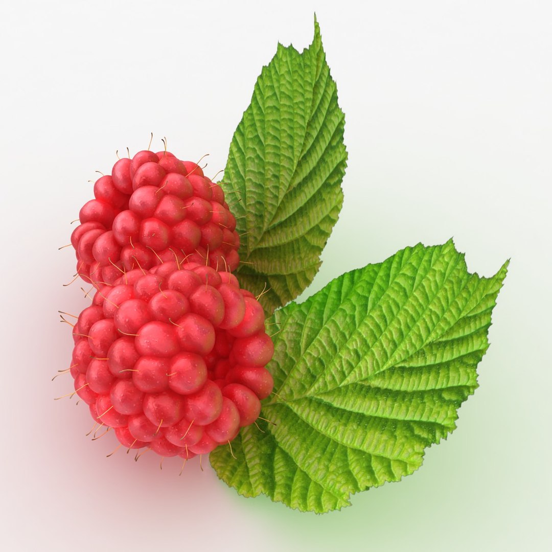 realistic raspberry 3d max
