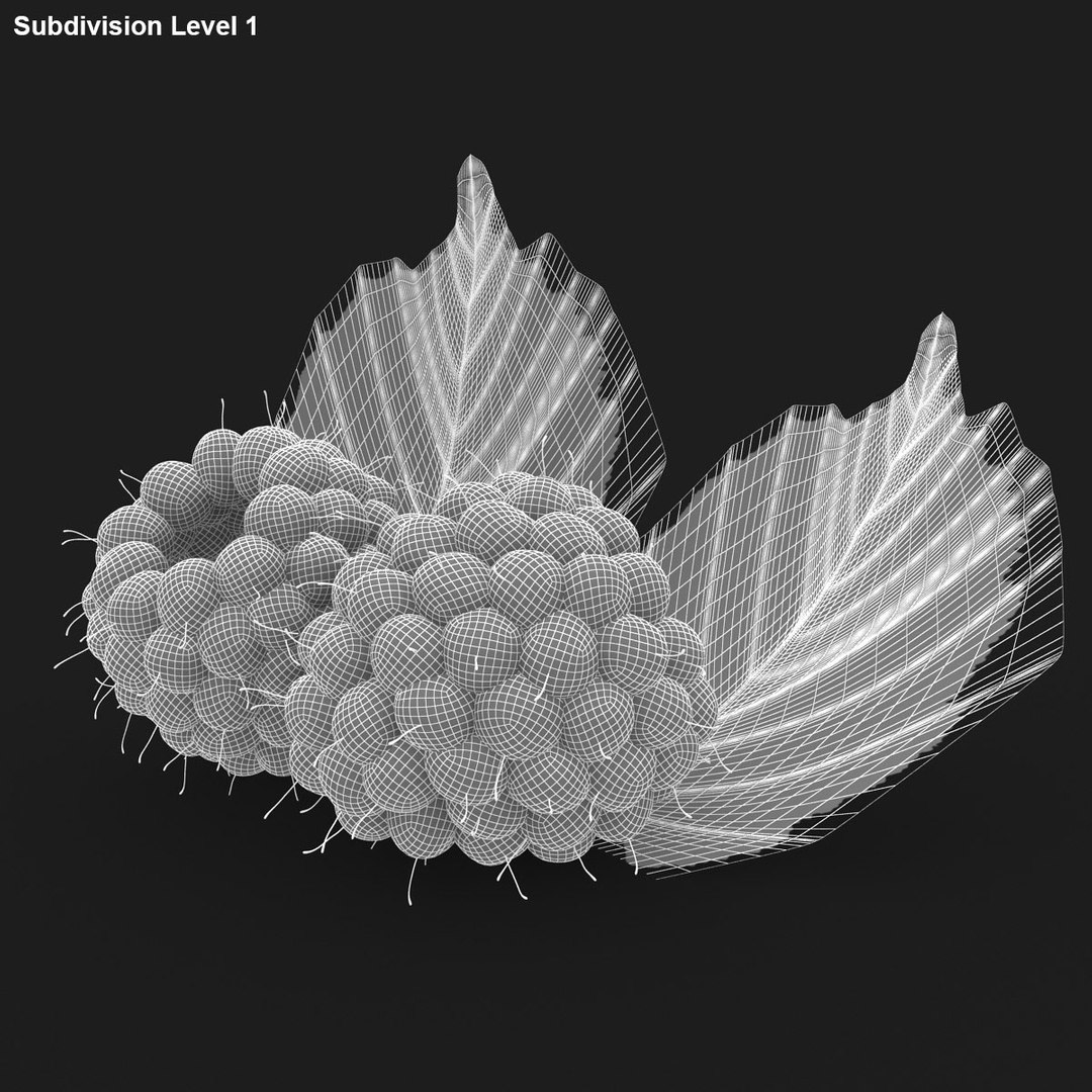 realistic raspberry 3d max