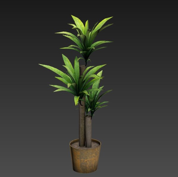 3d model of corn plant