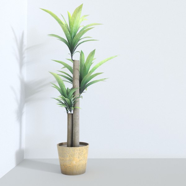 3d model of corn plant