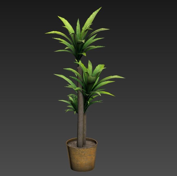 3d model of corn plant