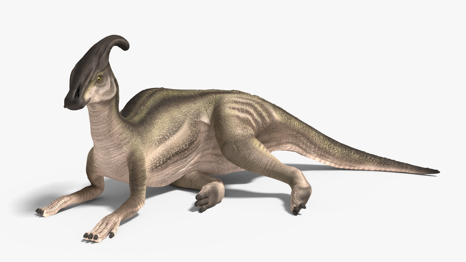 3D Model Parasaurolophus Rigged Animation - TurboSquid 1504991