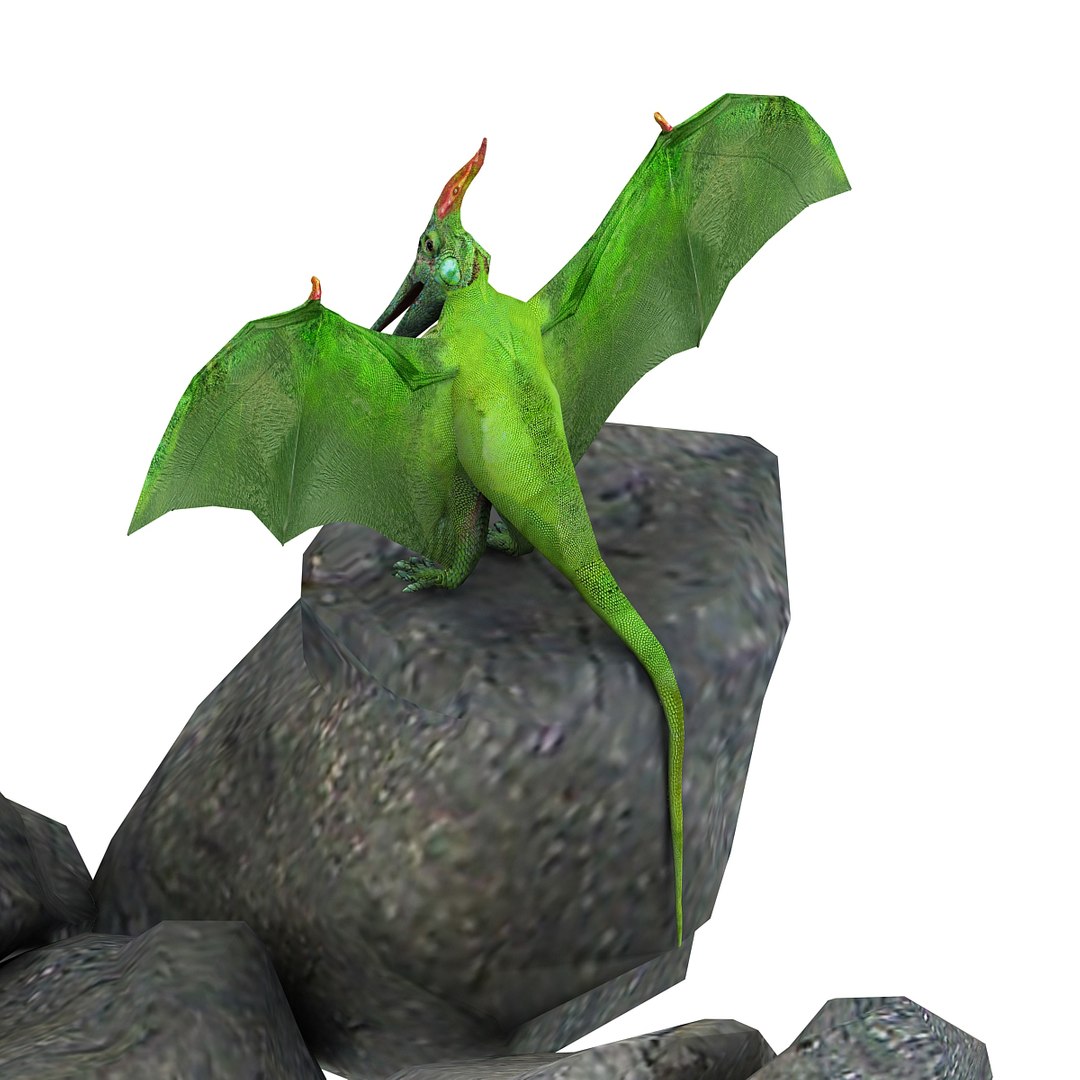 pterodactyl 3d view