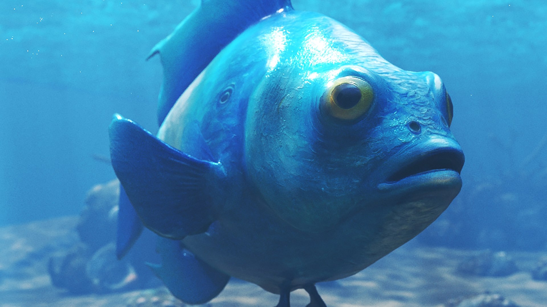 3D Fish Marine Life Pack - TurboSquid 2337907