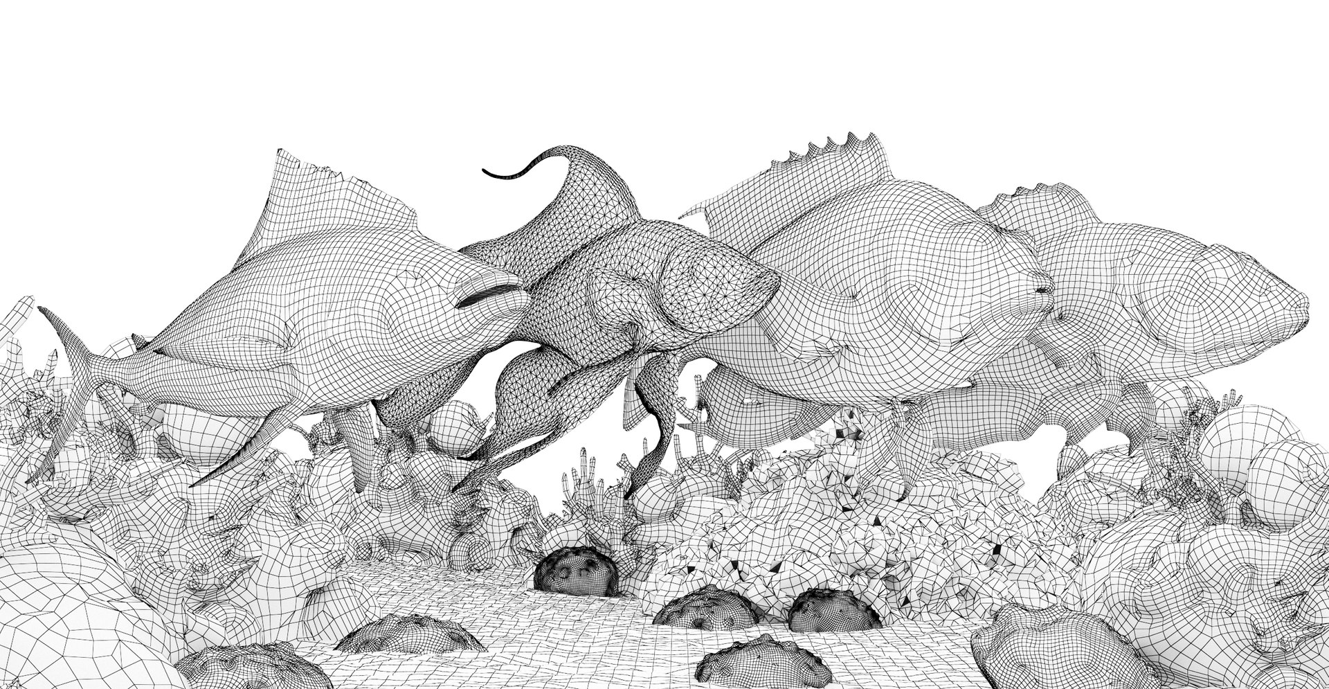 3D Fish Marine Life Pack - TurboSquid 2337907
