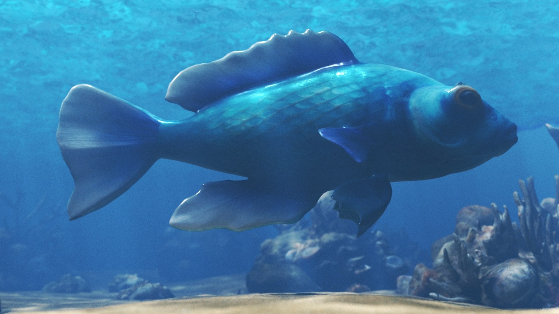 3D Fish Marine Life Pack - TurboSquid 2337907