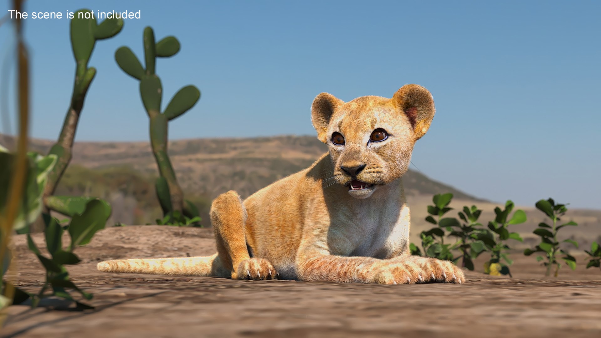 Lion Cub Fur Rigged 3D - TurboSquid 2335691