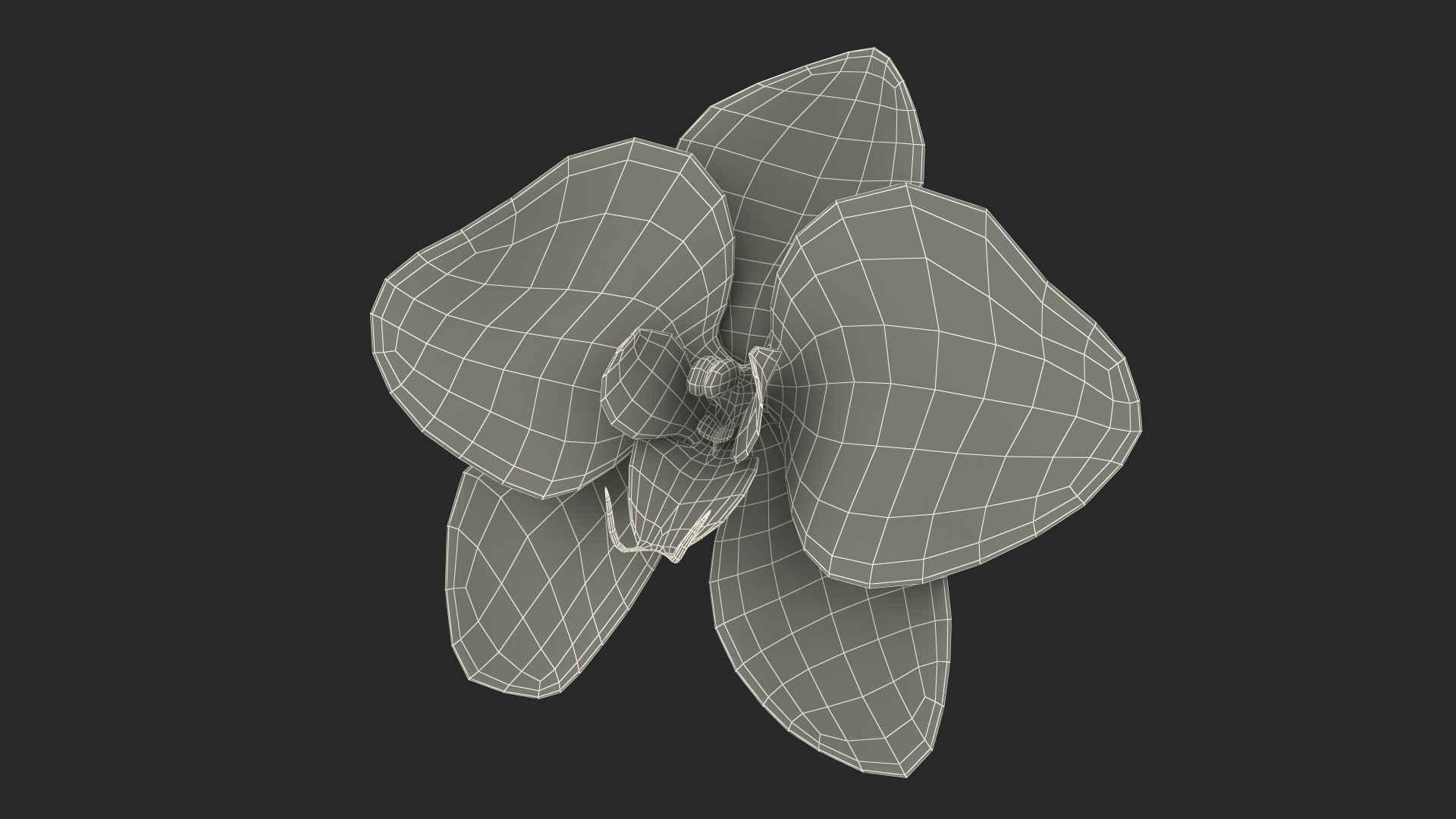 3d Model Of Orchid Flower