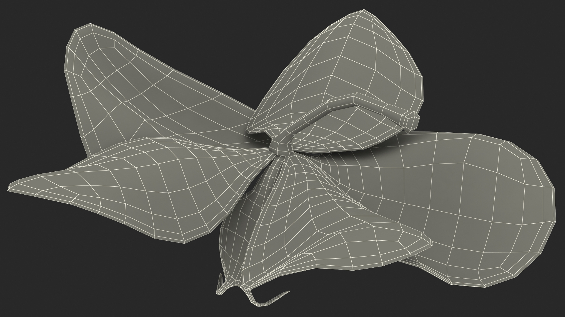 3d model of orchid flower