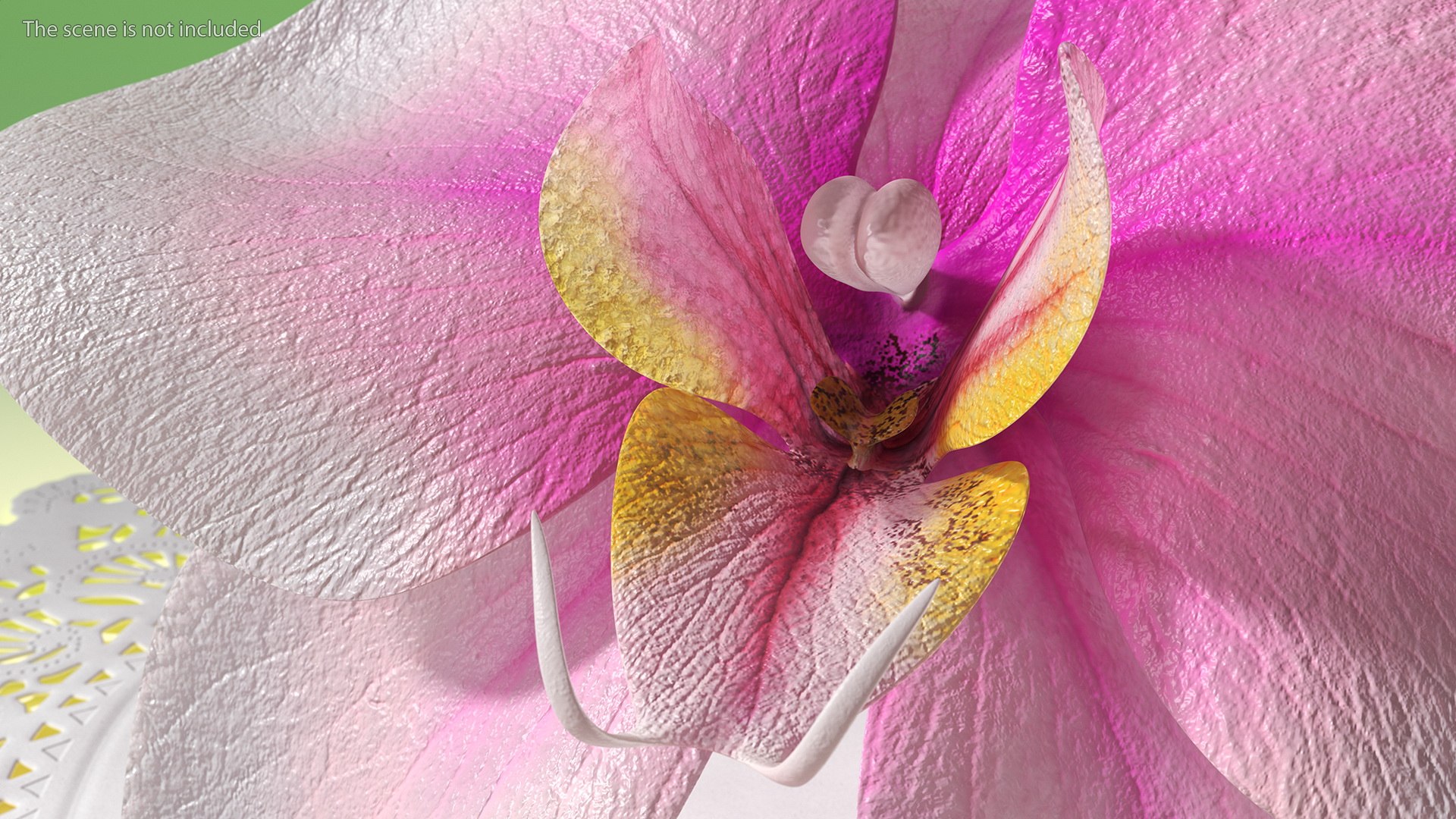 3d model of orchid flower