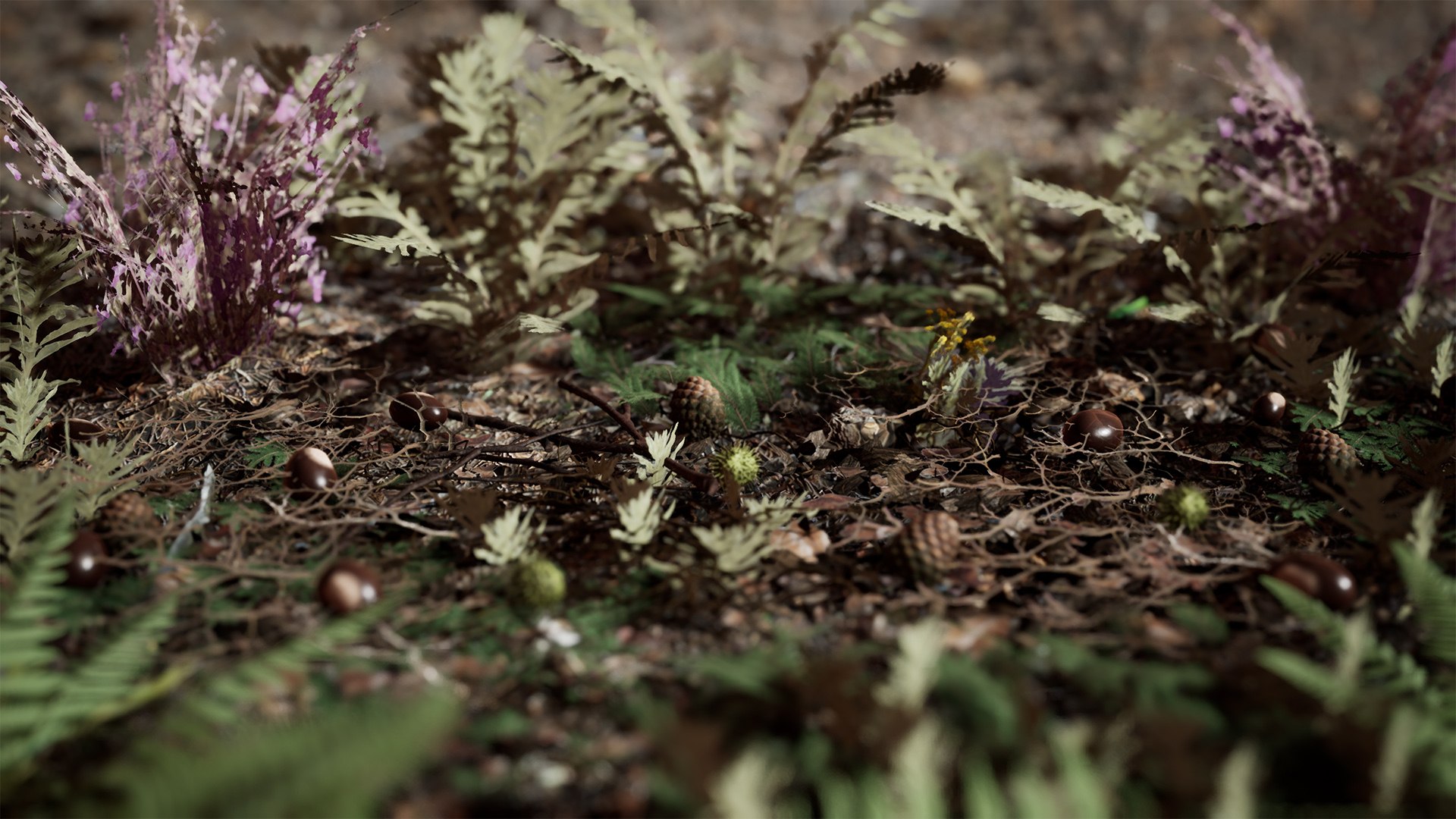 3D Ground Plants 21 Assets - TurboSquid 2113433