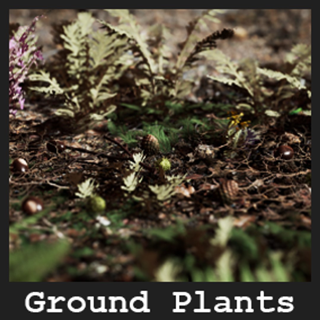 3D Ground Plants 21 Assets - TurboSquid 2113433