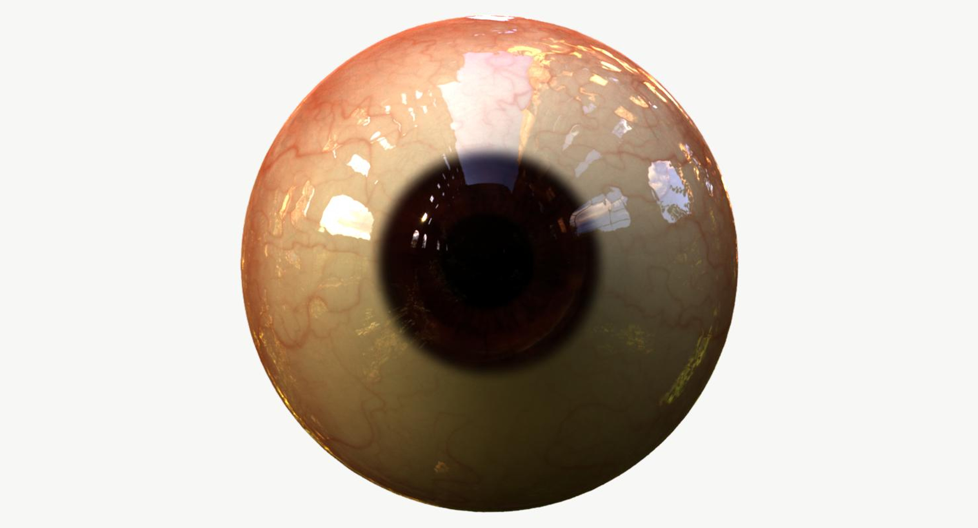 3d Realistic Human Eye Pupil Model