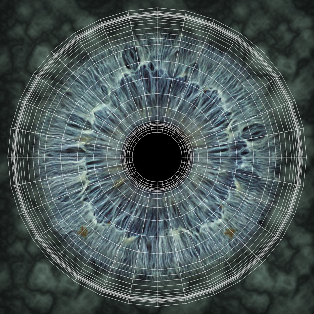3d Realistic Human Eye Pupil Model