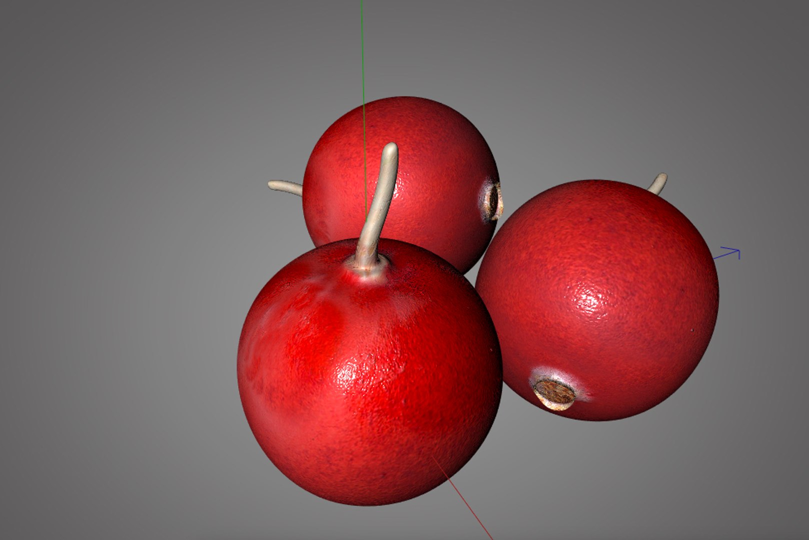 Berry Fruit 3D Model - TurboSquid 1541017