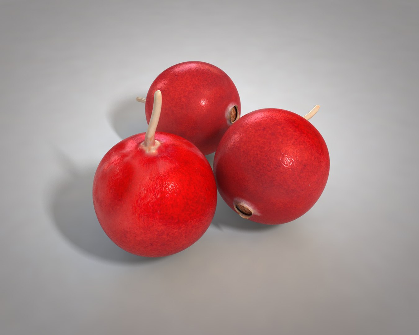 Berry Fruit 3D Model - TurboSquid 1541017