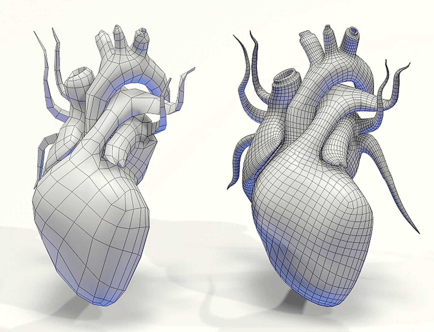 3d Heart Cardiac Cycle