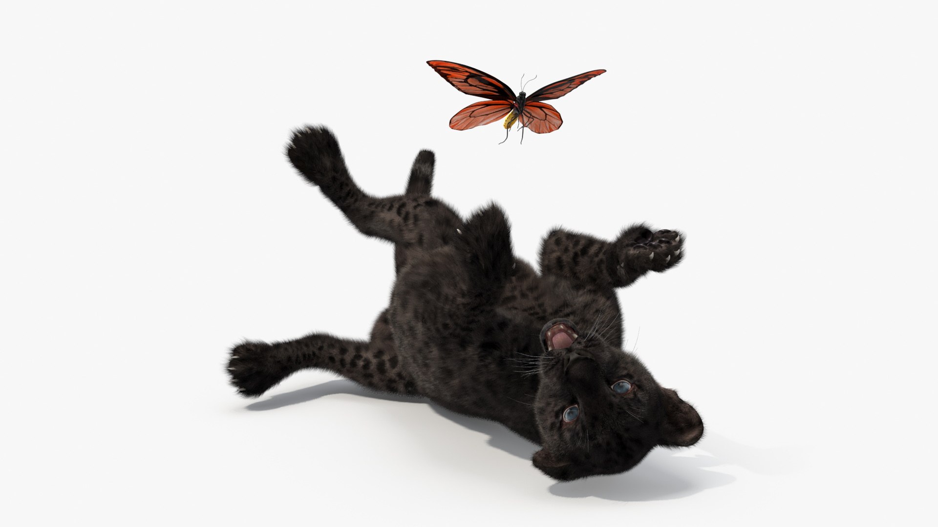 Playful Black Leopard Cub With Butterfly Fur Model - TurboSquid 2348816