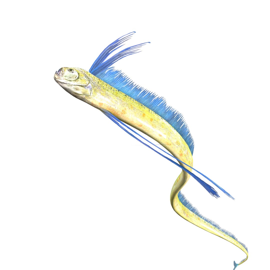 3D Model EEL PREHISTORIC ELECTRIC FISH - TurboSquid 2216805