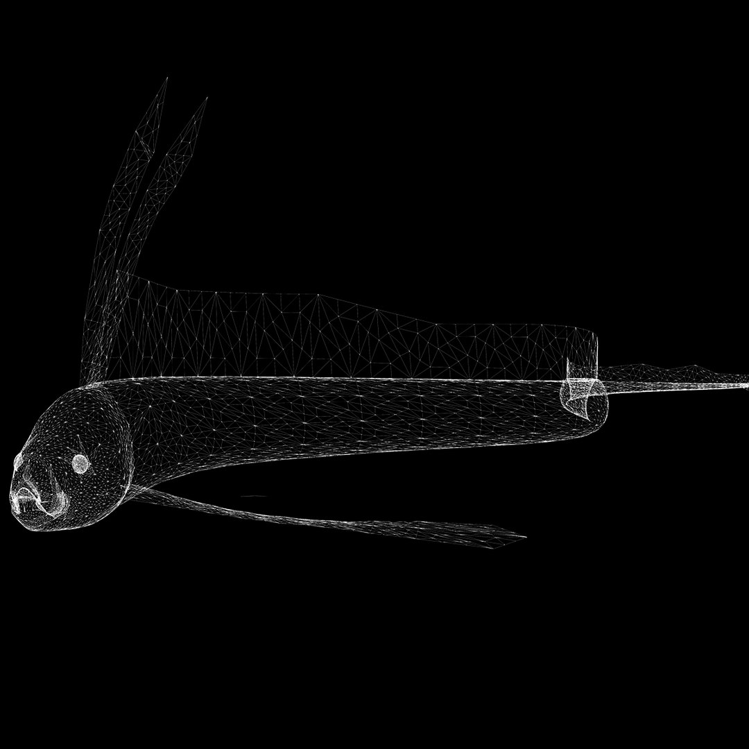 3D Model EEL PREHISTORIC ELECTRIC FISH - TurboSquid 2216805