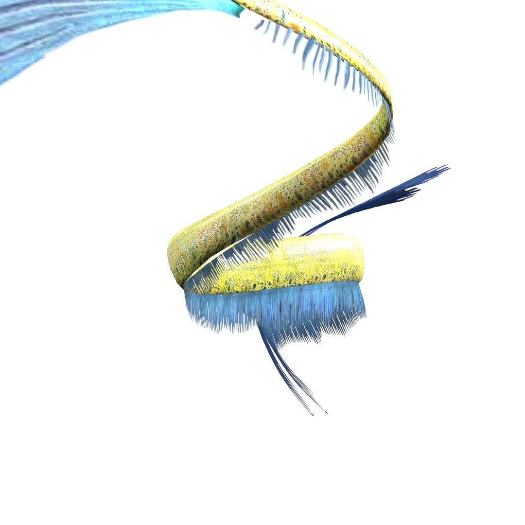 3D Model EEL PREHISTORIC ELECTRIC FISH - TurboSquid 2216805