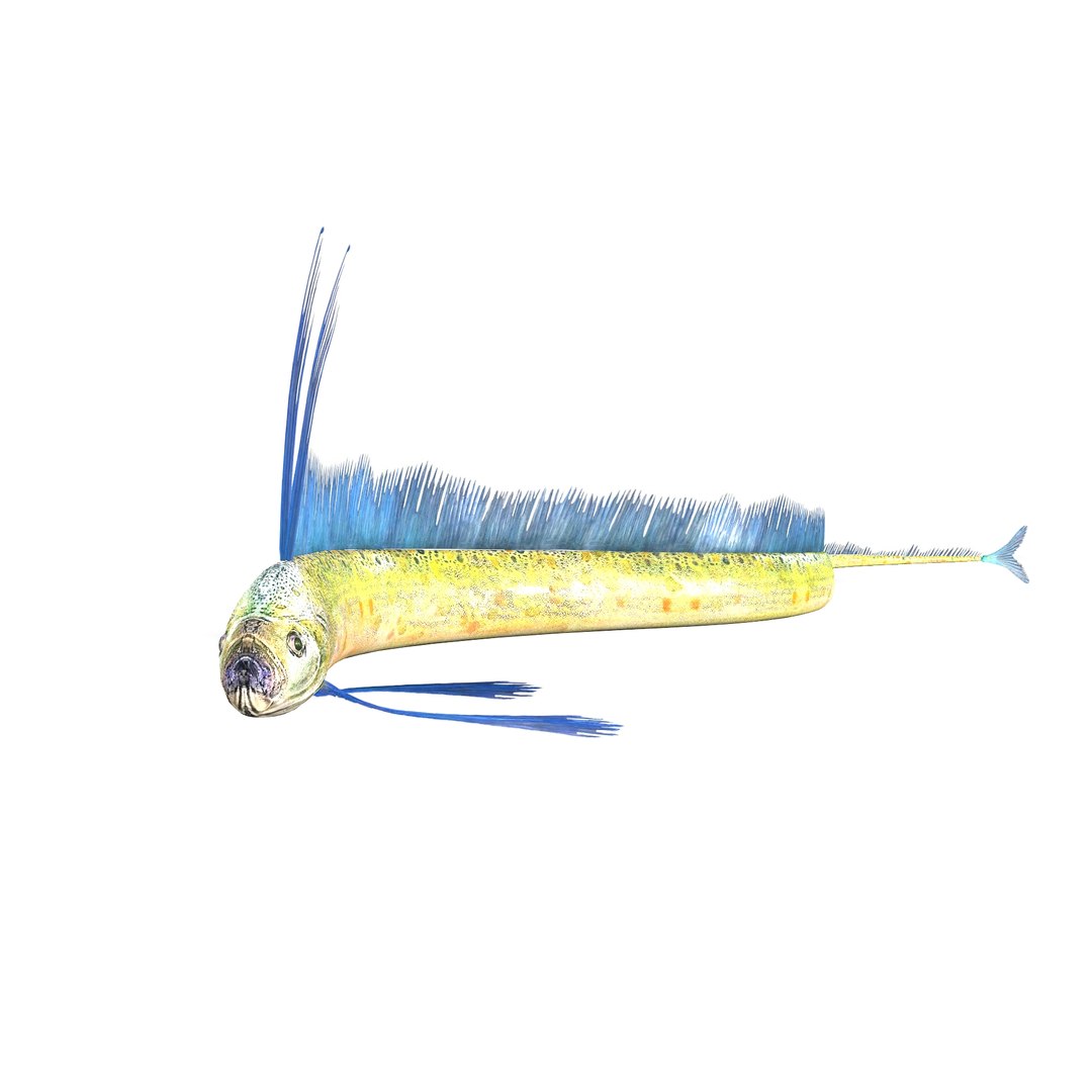 3D Model EEL PREHISTORIC ELECTRIC FISH - TurboSquid 2216805