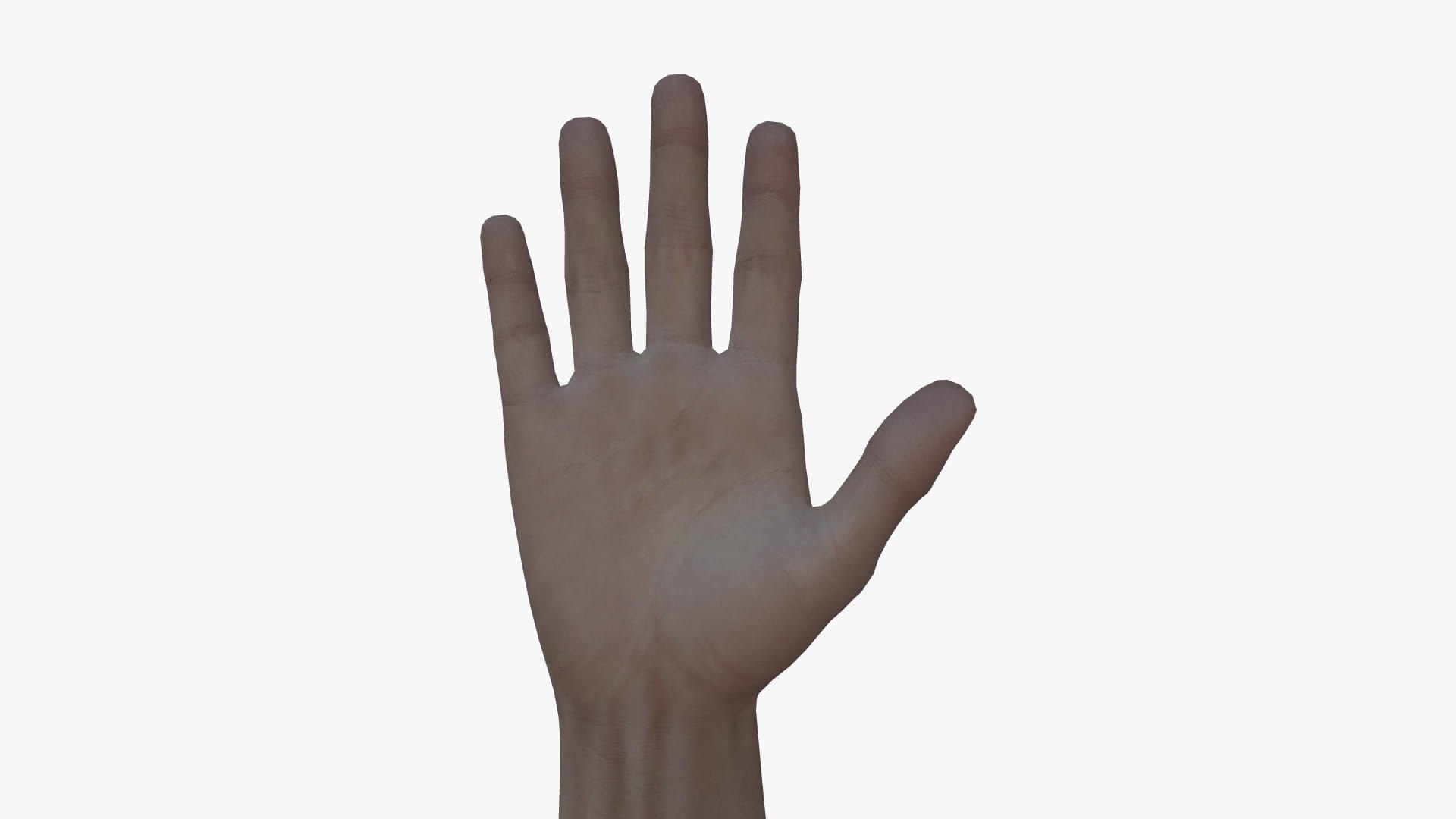 HND-025 Rigged Right Hand 3D - TurboSquid 2155641