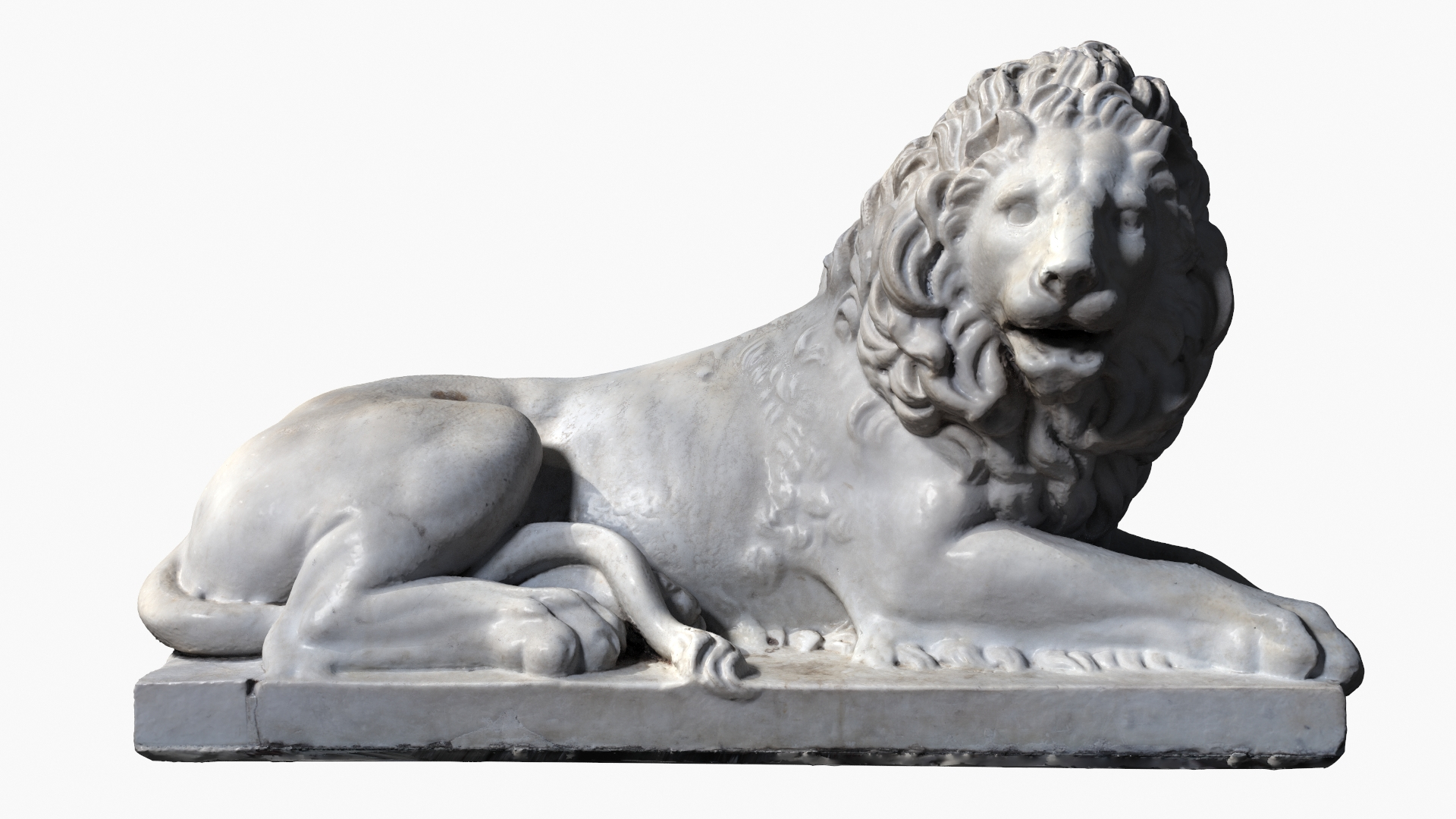 3D Lion 3d Scan Model - TurboSquid 1879151