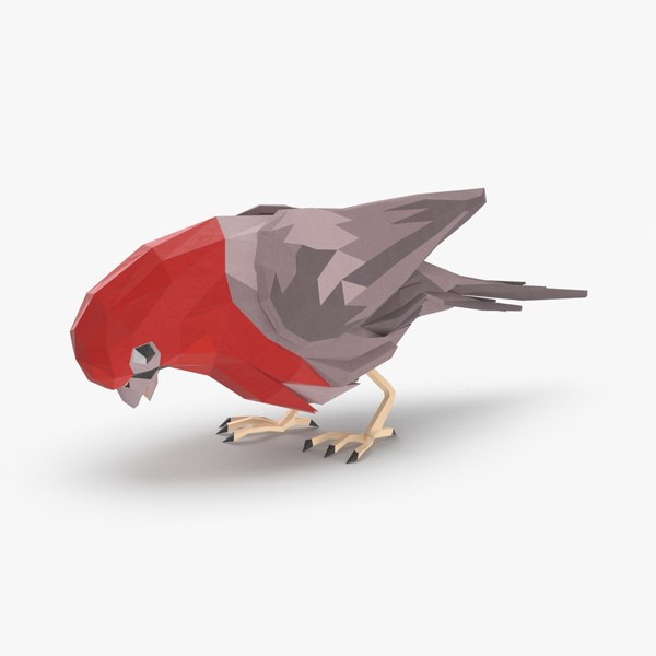 Cartoon Bird 3D Models for Download | TurboSquid