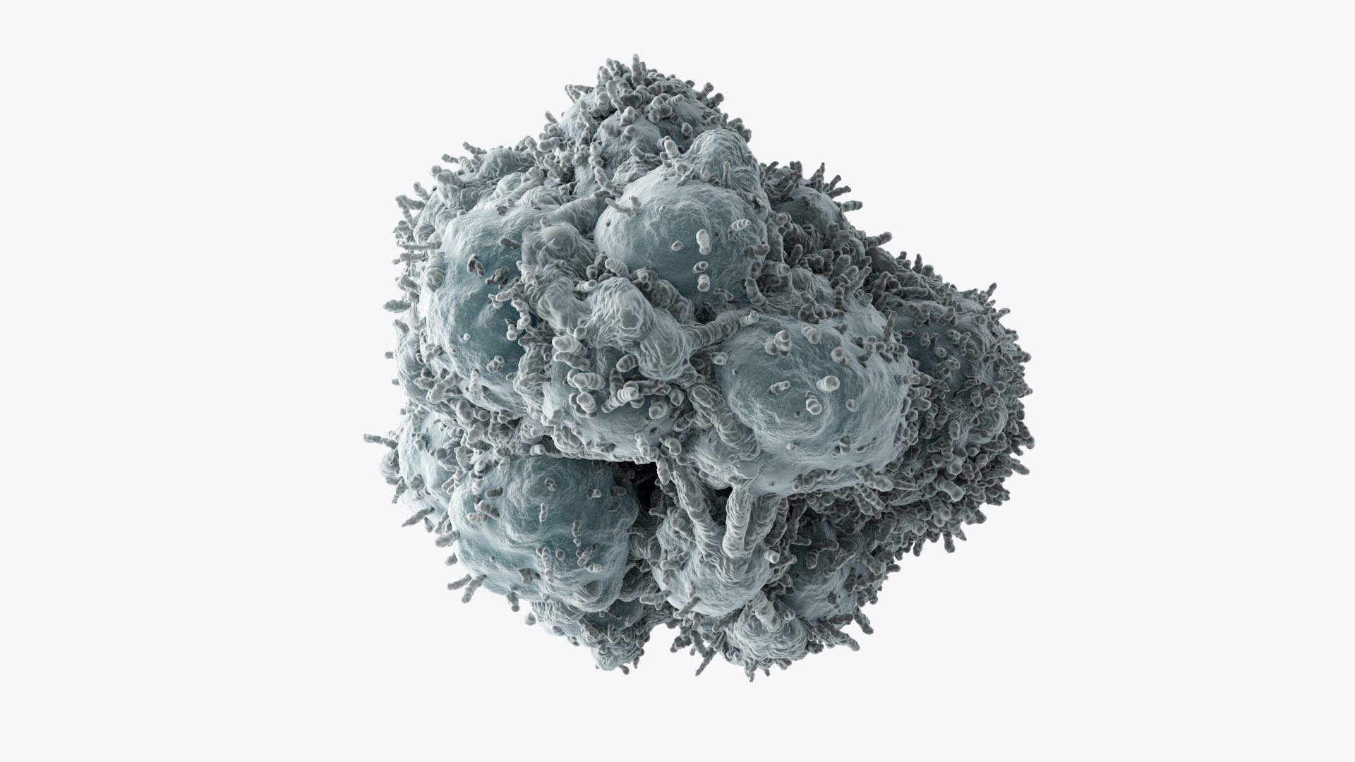 Cells 50 3D Model - TurboSquid 2224875