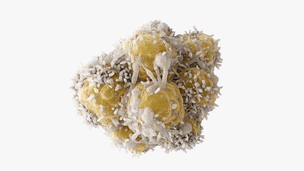 Free 3D Blood Models | TurboSquid