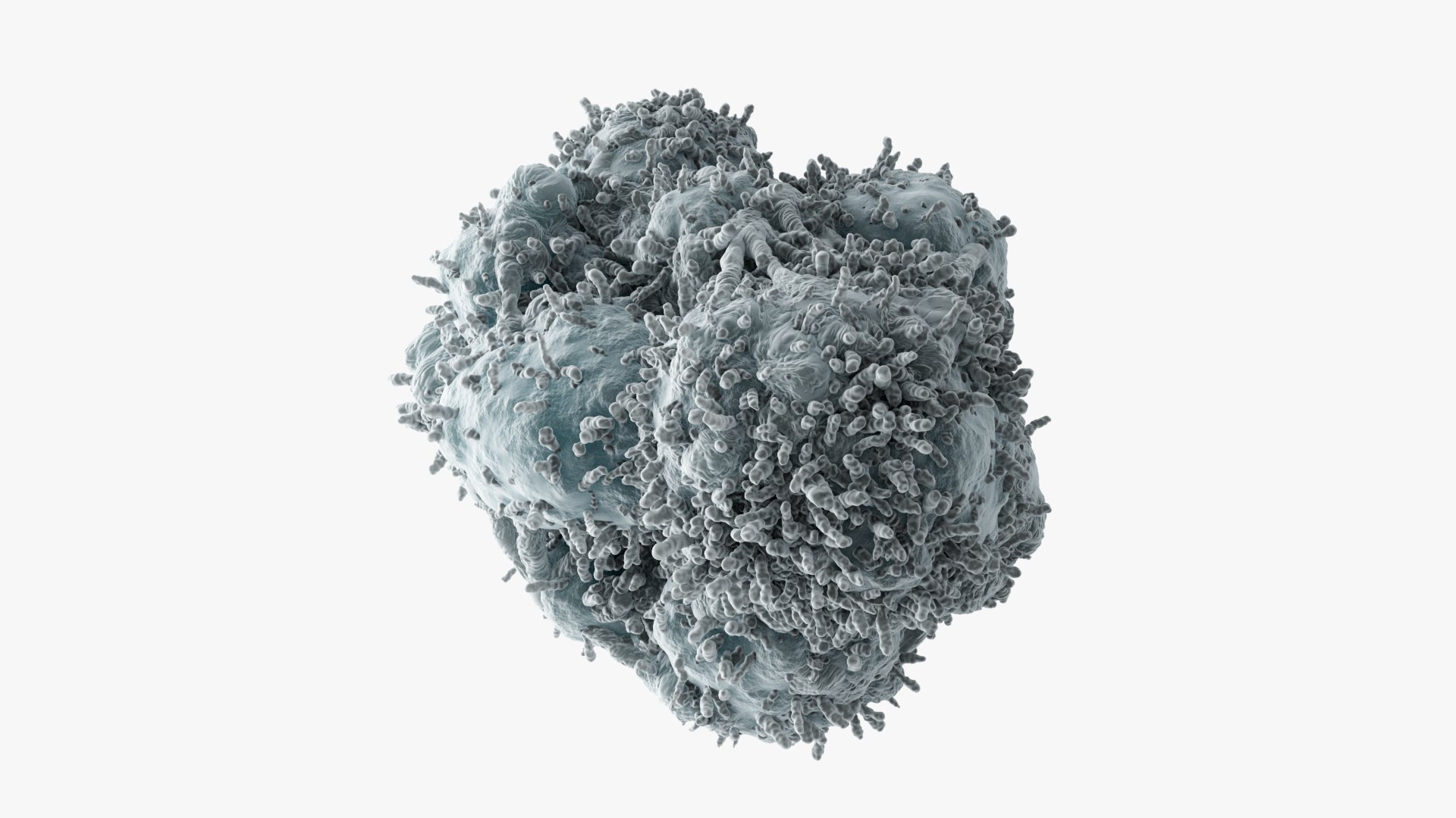 Cells 50 3D Model - TurboSquid 2224875