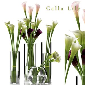 3d model flower set 21