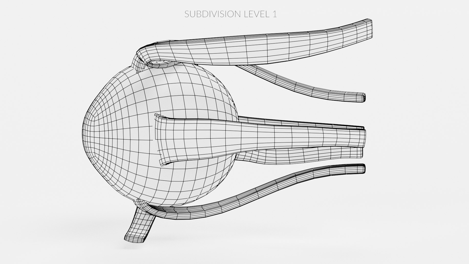 Eyeball Muscles Eye 3D Model - TurboSquid 1638470