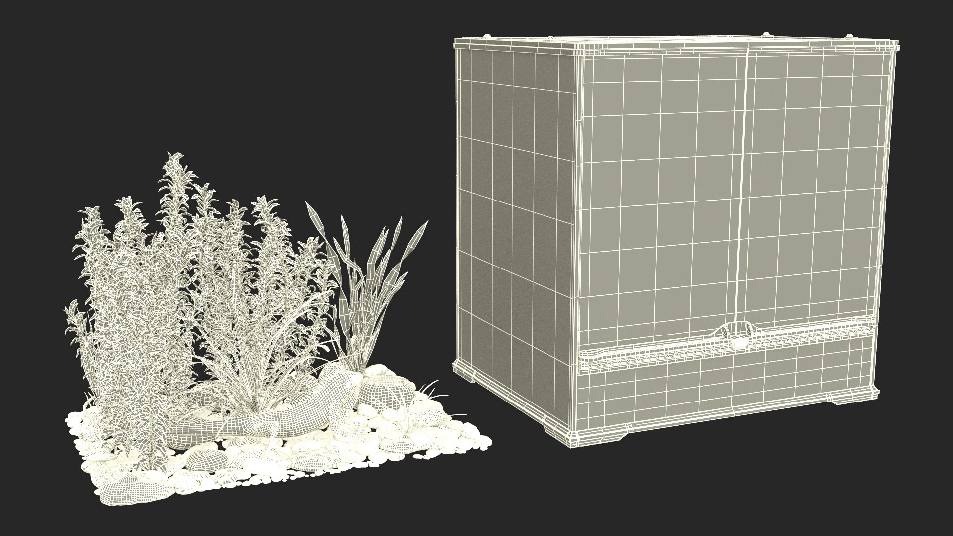 Big Terrarium with Plants and Green Lizard 3D model - TurboSquid 2143565