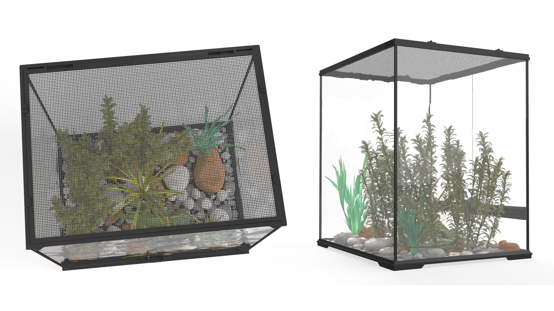 Big Terrarium with Plants and Green Lizard 3D model - TurboSquid 2143565