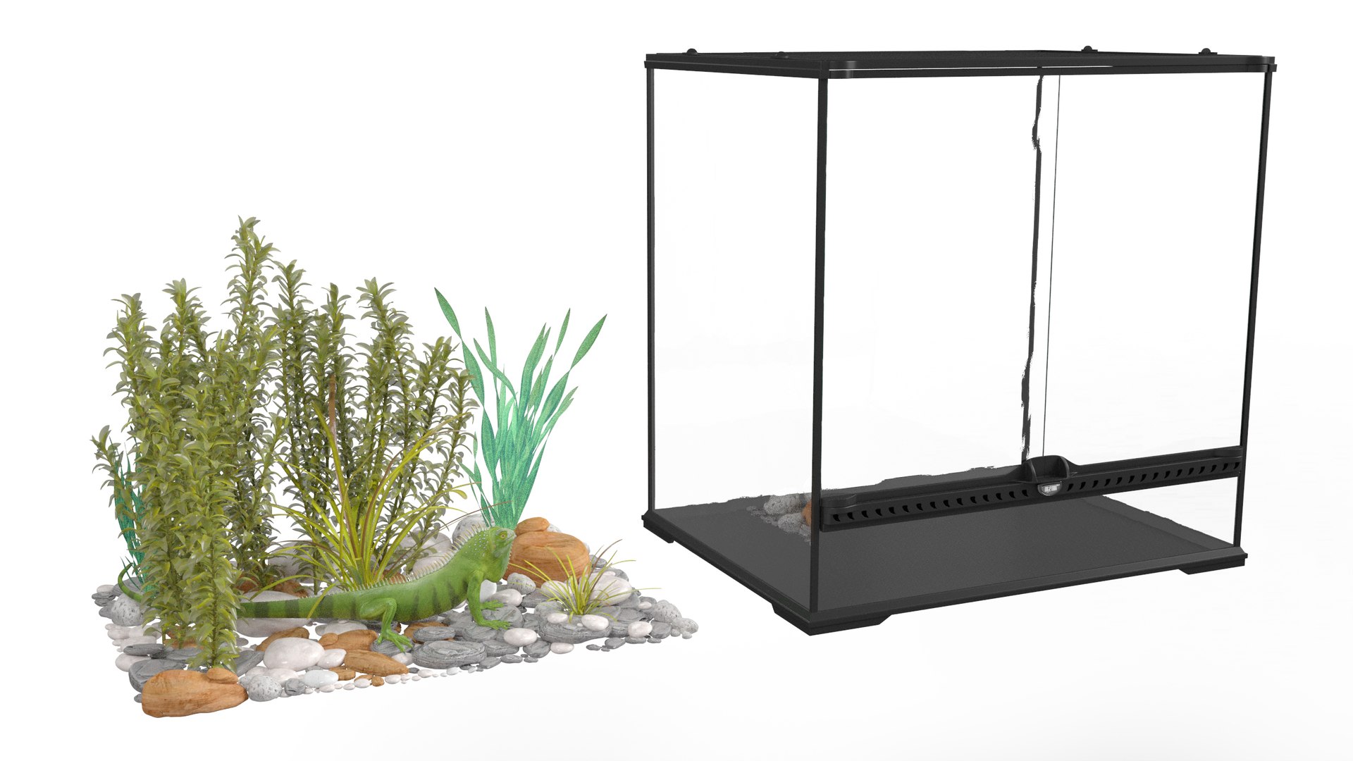 Big Terrarium with Plants and Green Lizard 3D model - TurboSquid 2143565