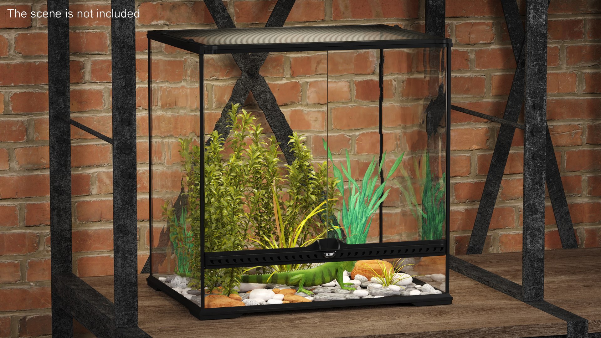 Big Terrarium with Plants and Green Lizard 3D model - TurboSquid 2143565