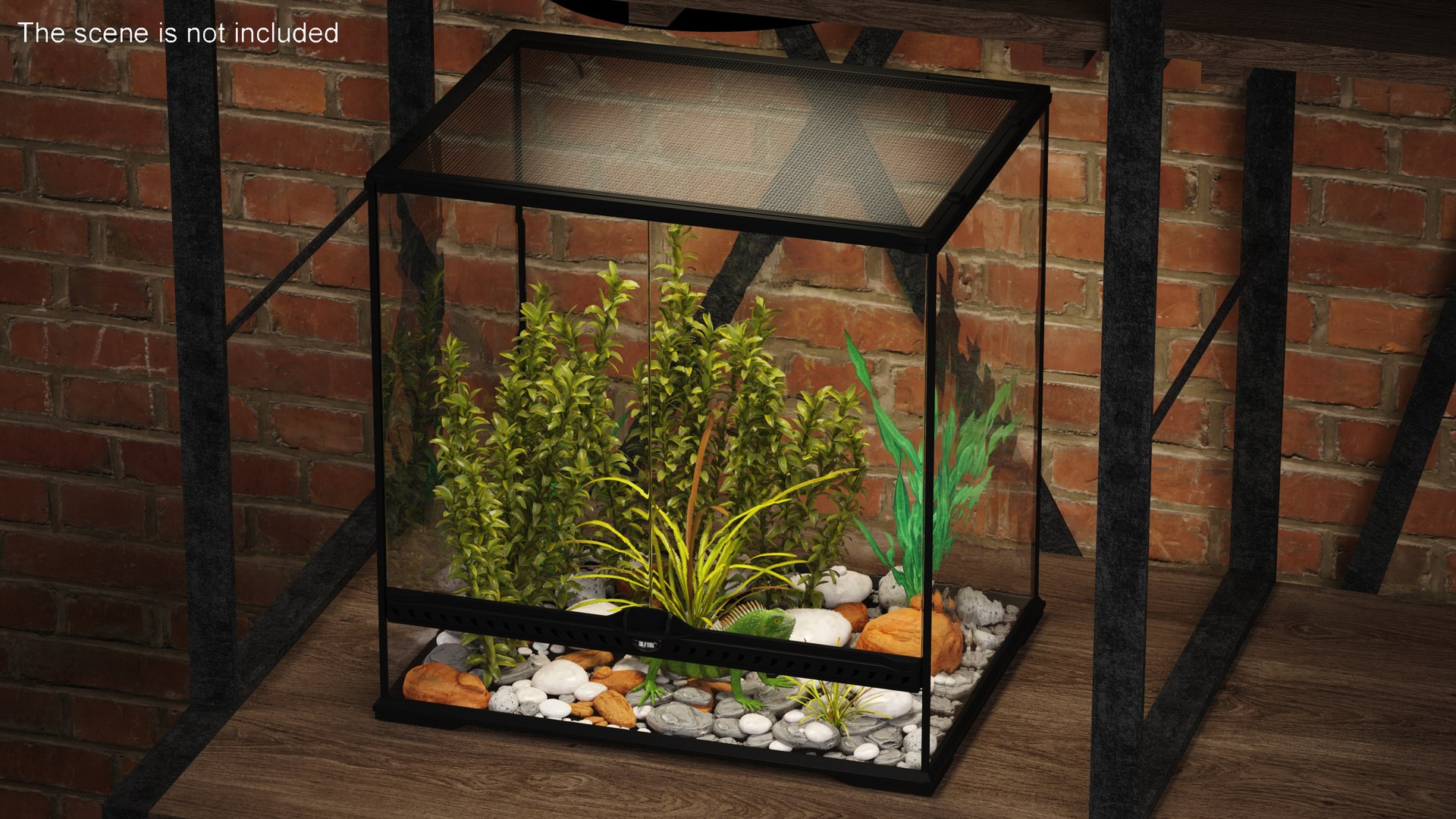 Big Terrarium with Plants and Green Lizard 3D model - TurboSquid 2143565