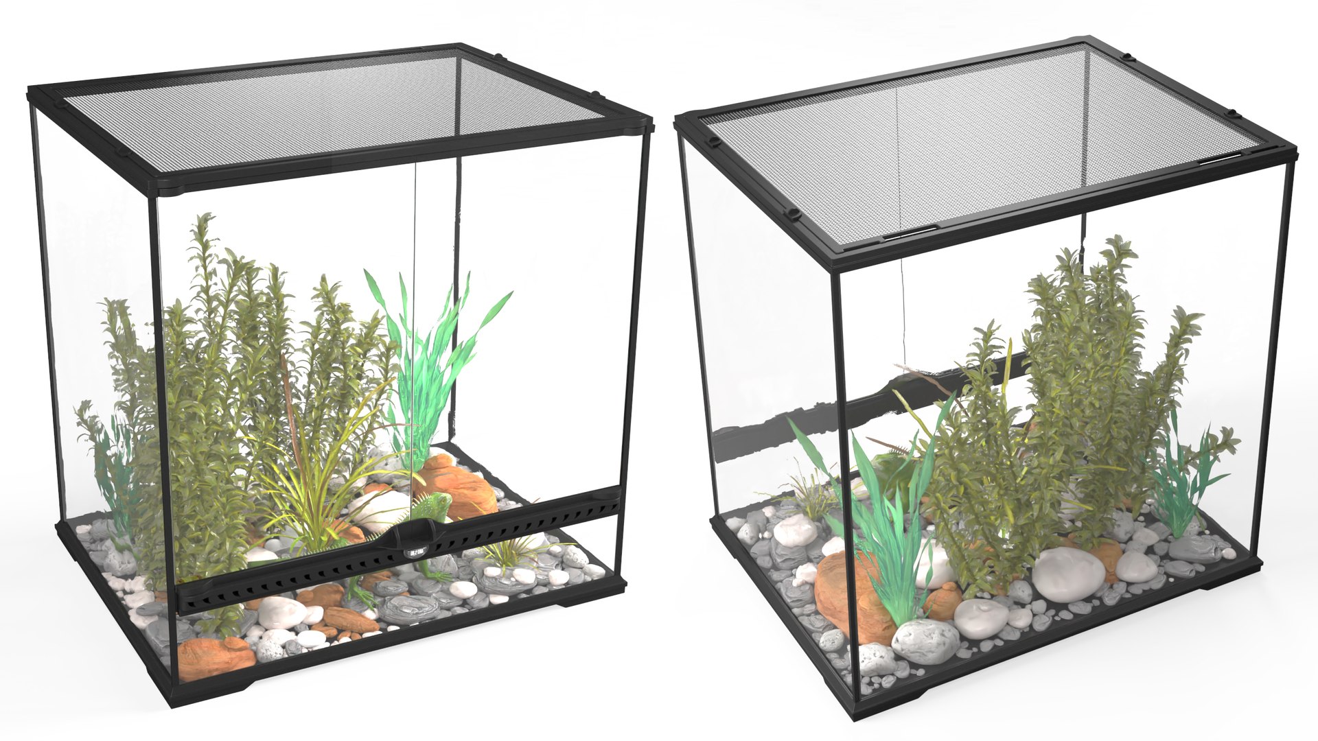 Big Terrarium with Plants and Green Lizard 3D model - TurboSquid 2143565