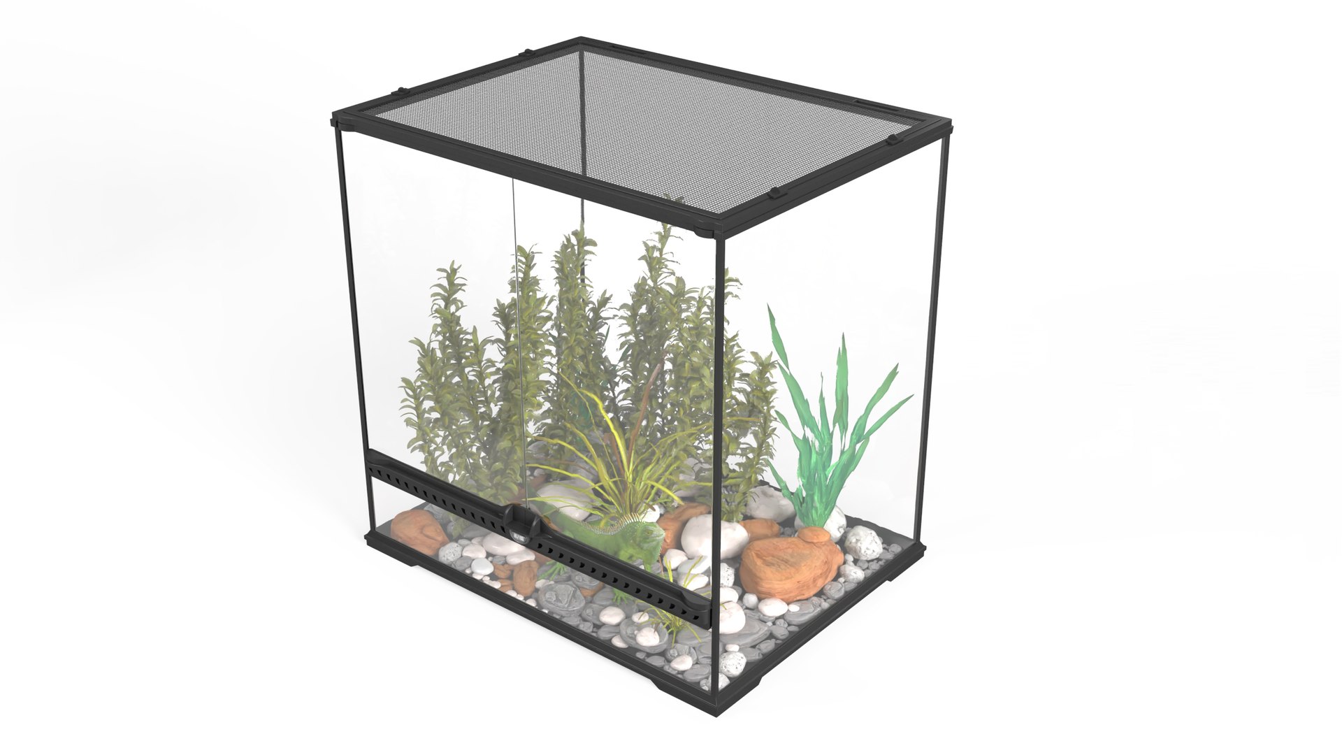 Big Terrarium with Plants and Green Lizard 3D model - TurboSquid 2143565